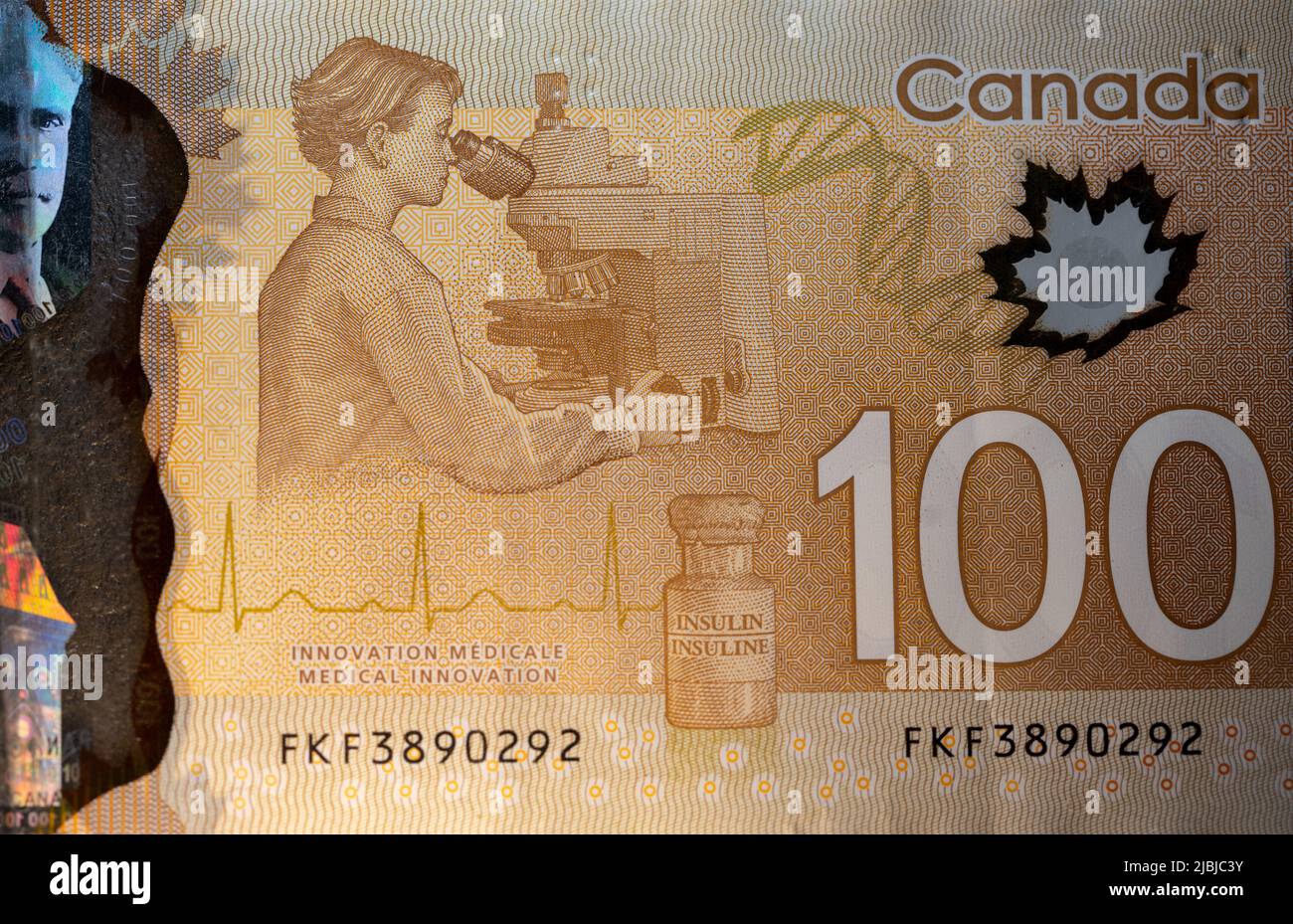 100 dollar bill backside hi-res stock photography and images - Alamy