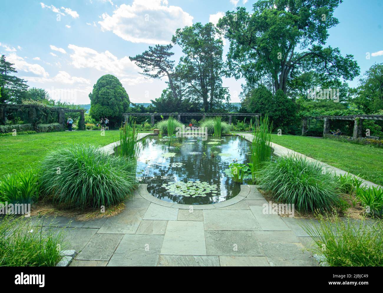 Bronx, NY - USA - June 4, 2022 a view of the Aquatic Garden at Wave ...
