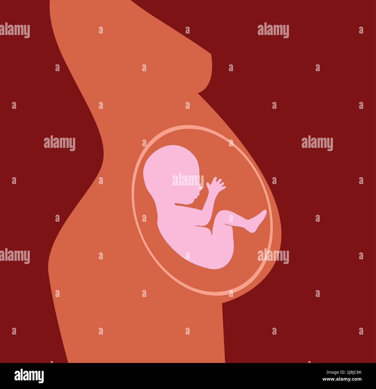 Pregnant woman's belly closeup with a baby inside, conceptual ...