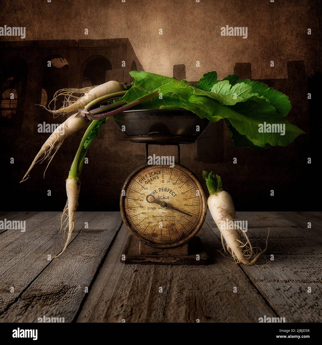 White radish with smal scale photography Stock Photo - Alamy