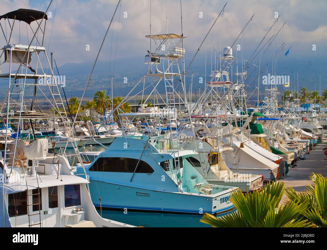 Chartered Fishing Boats at Honokohau Marina and Small Boat Harbor ...