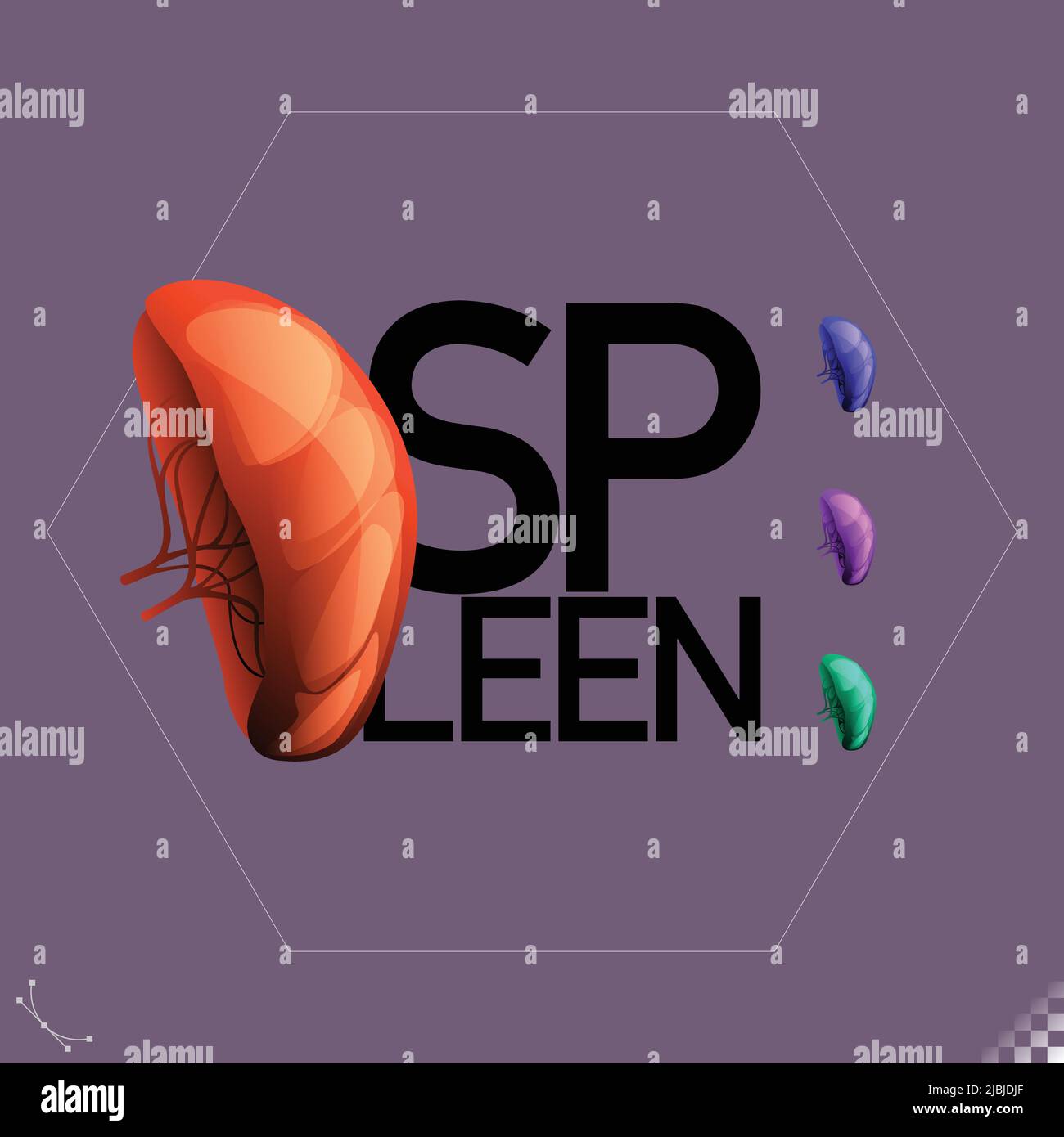 Node system Stock Vector Images - Alamy