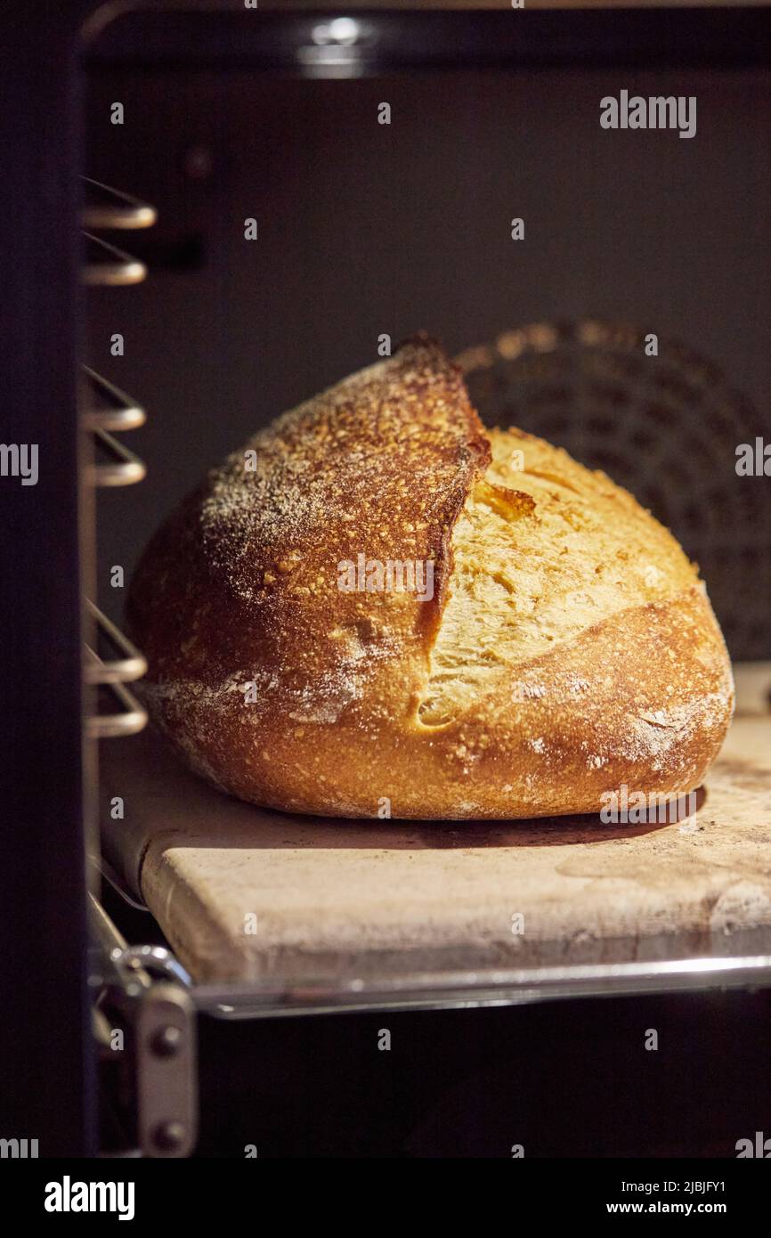 The process of making wheat bread at home. Baking bread in the oven ...