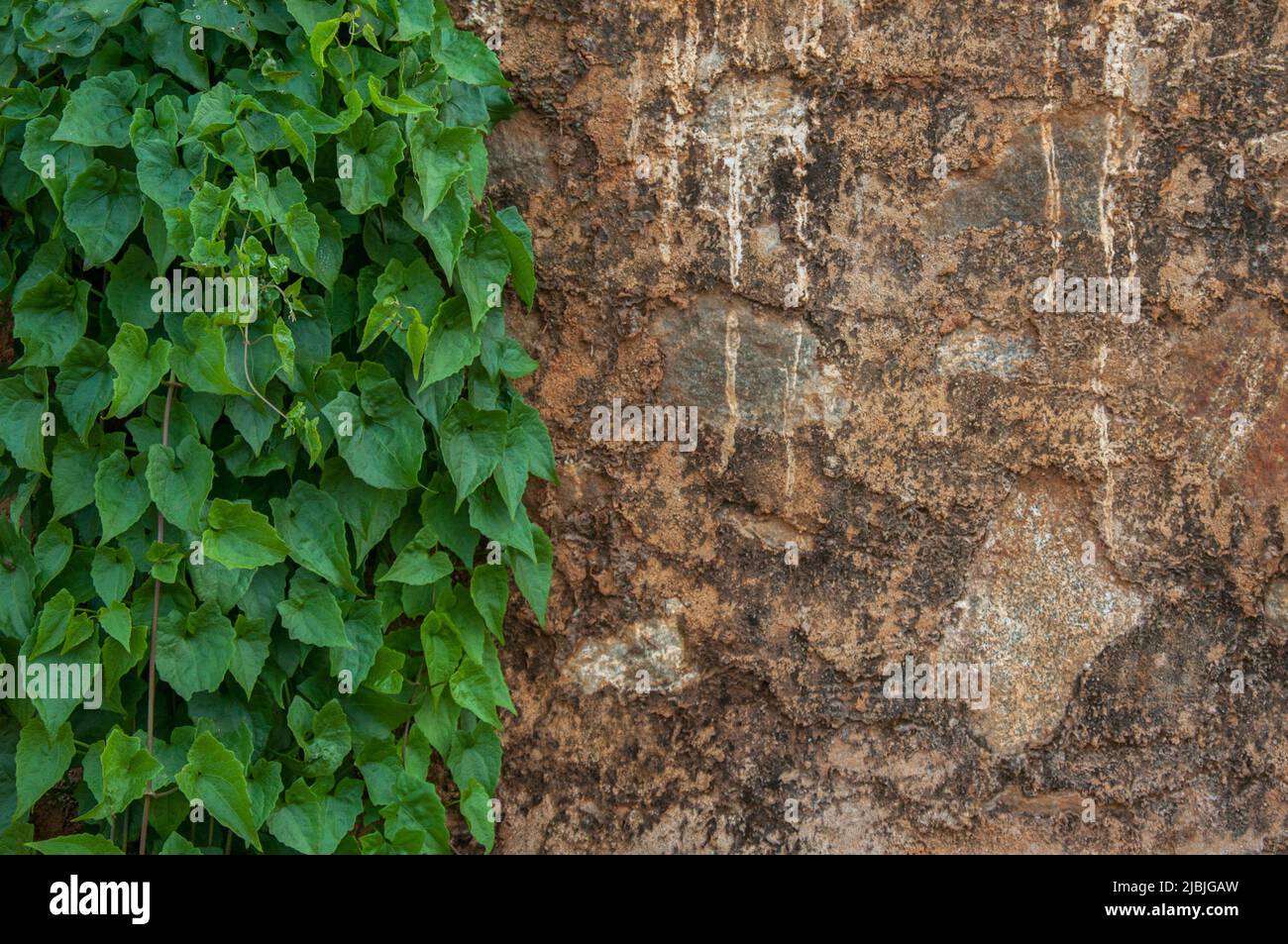 Vacation photos wall hi-res stock photography and images - Alamy