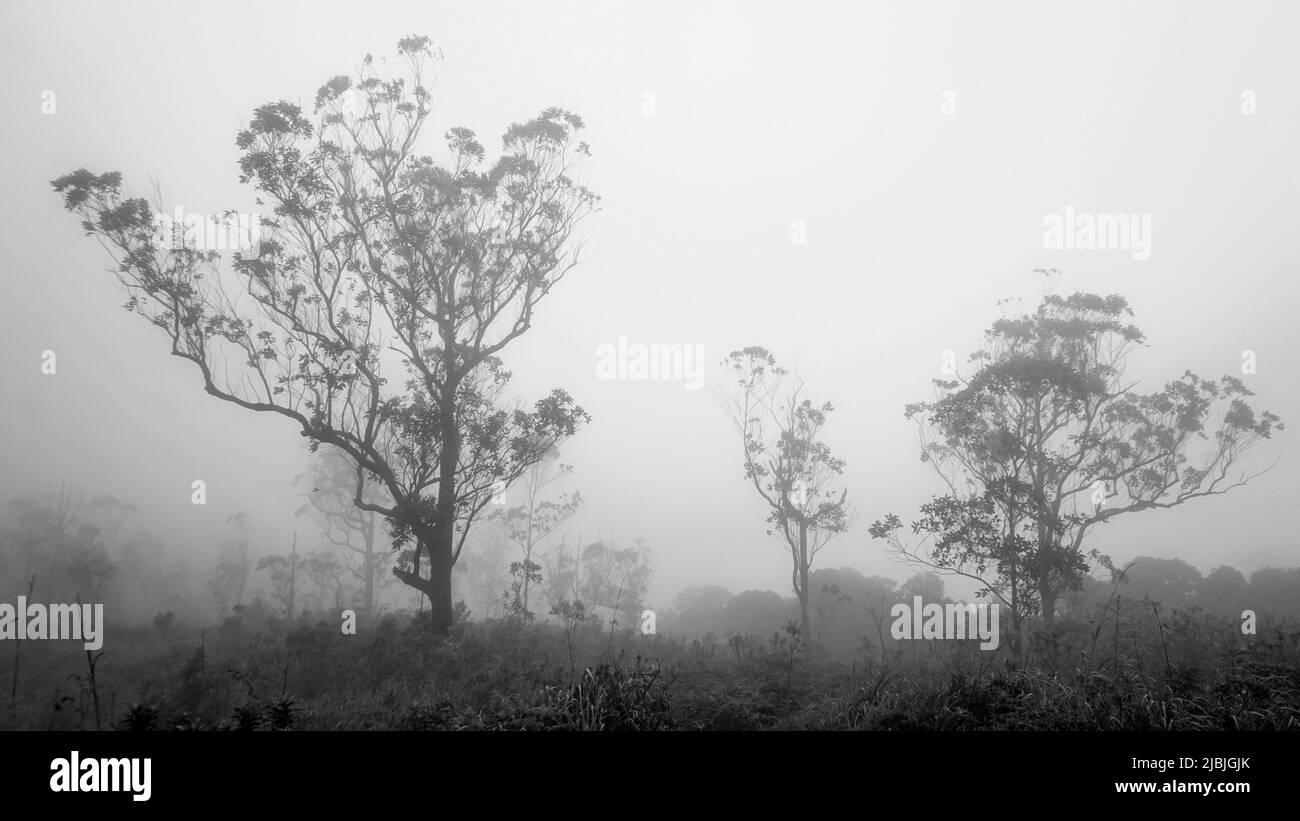 Misty landscape photos hi-res stock photography and images - Alamy