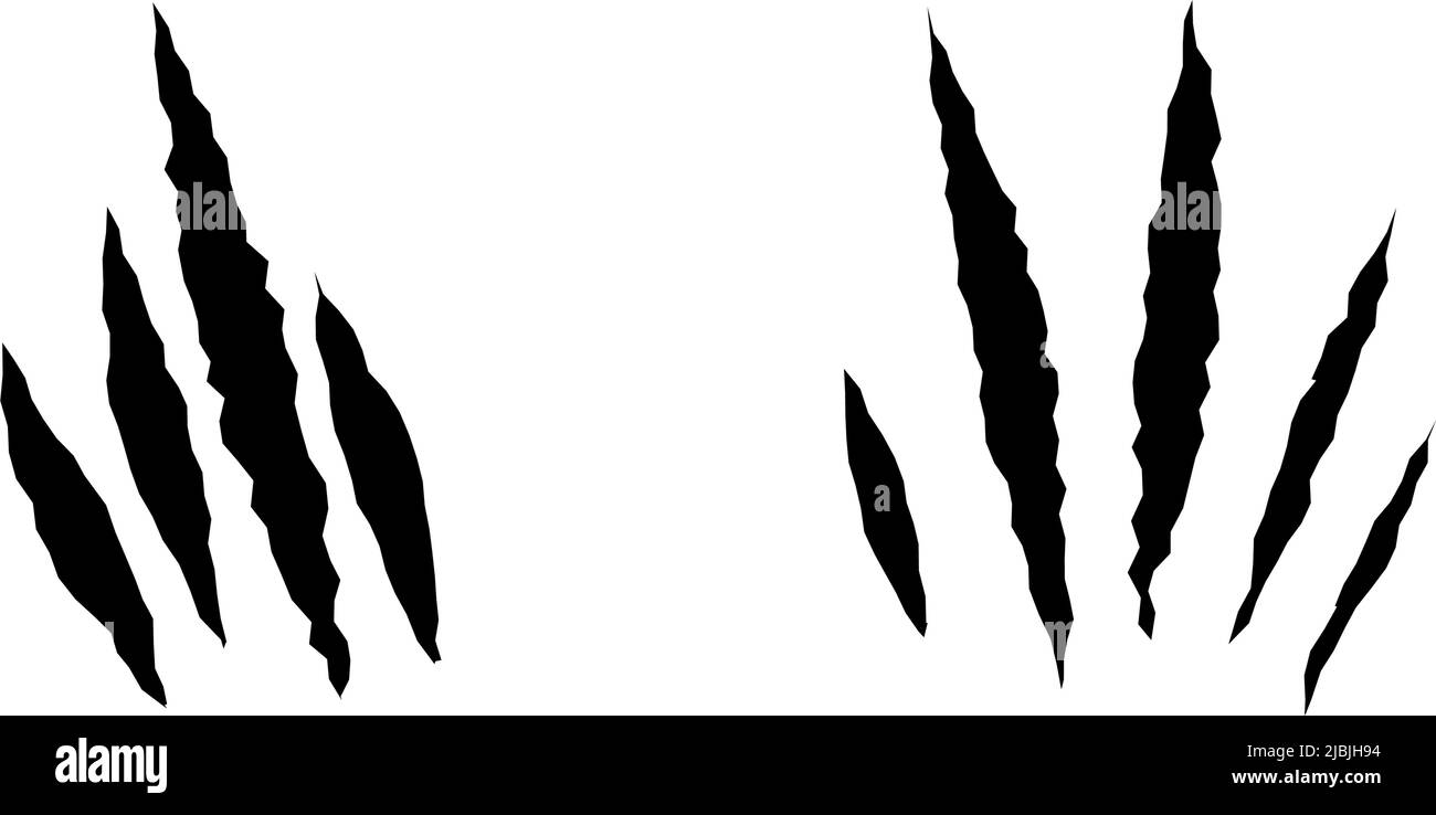 Cat scratches set. Black claws animal scratch, Torn paper. Cat claws ...