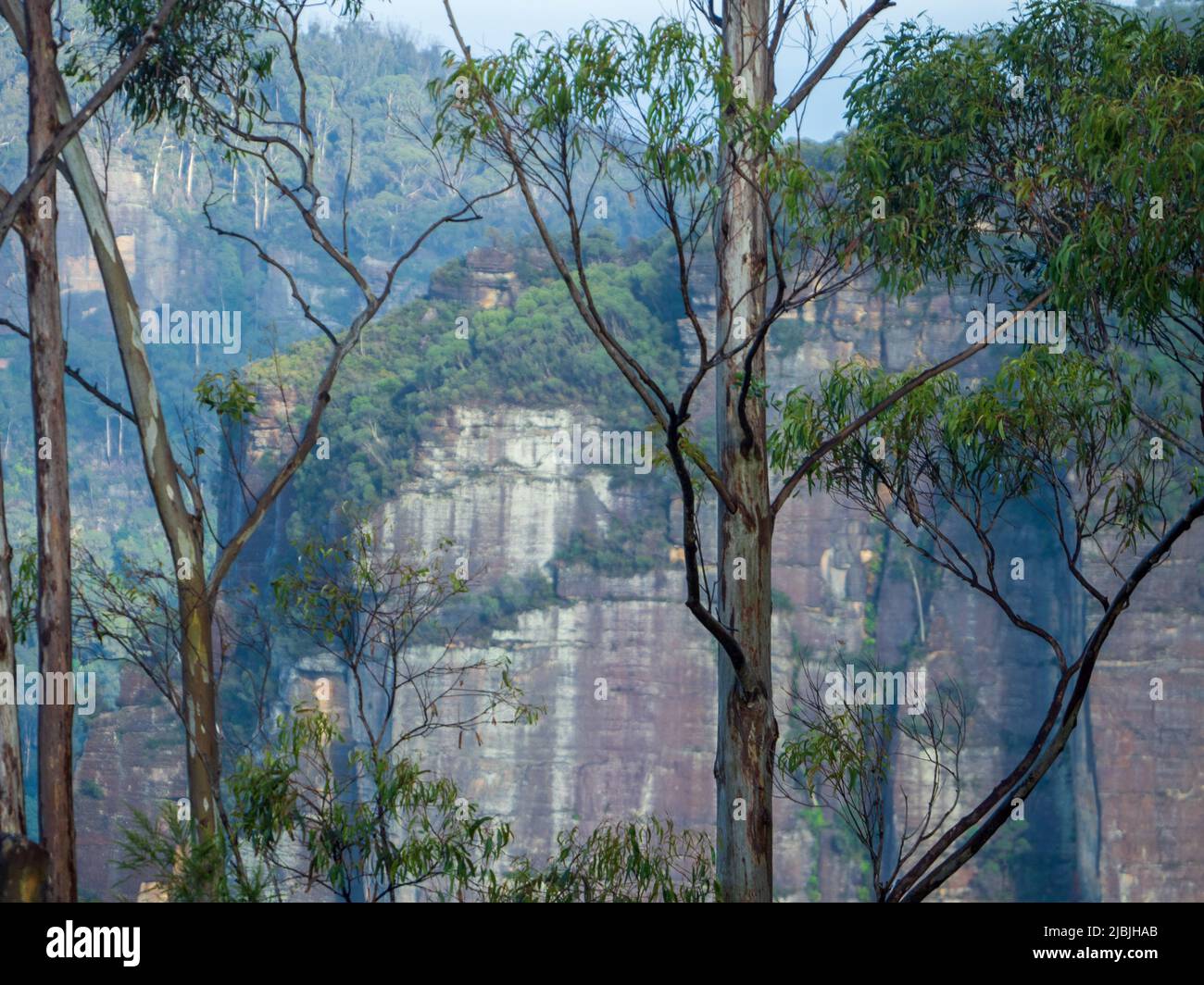 Australian Bush scenery of rock formations and Eucalyptus Gum trees and ...