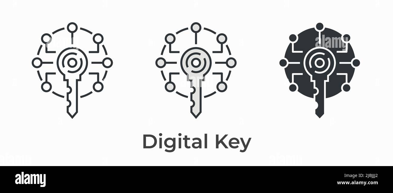 Digital key icon. Black vector illustration isolated on white ...