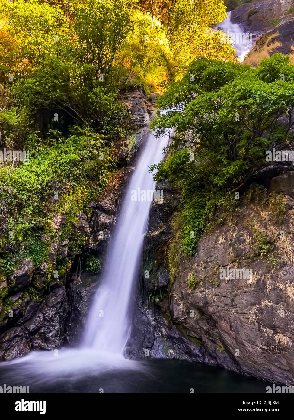 Fern doi inthanon nature park hi-res stock photography and images - Alamy