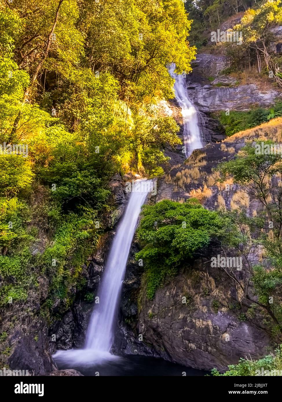 Fern doi inthanon nature park hi-res stock photography and images - Alamy