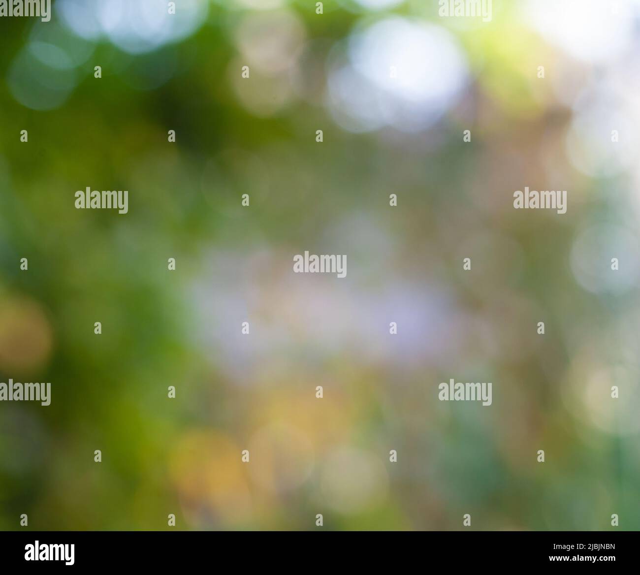 Bokeh background of trees hi-res stock photography and images - Alamy