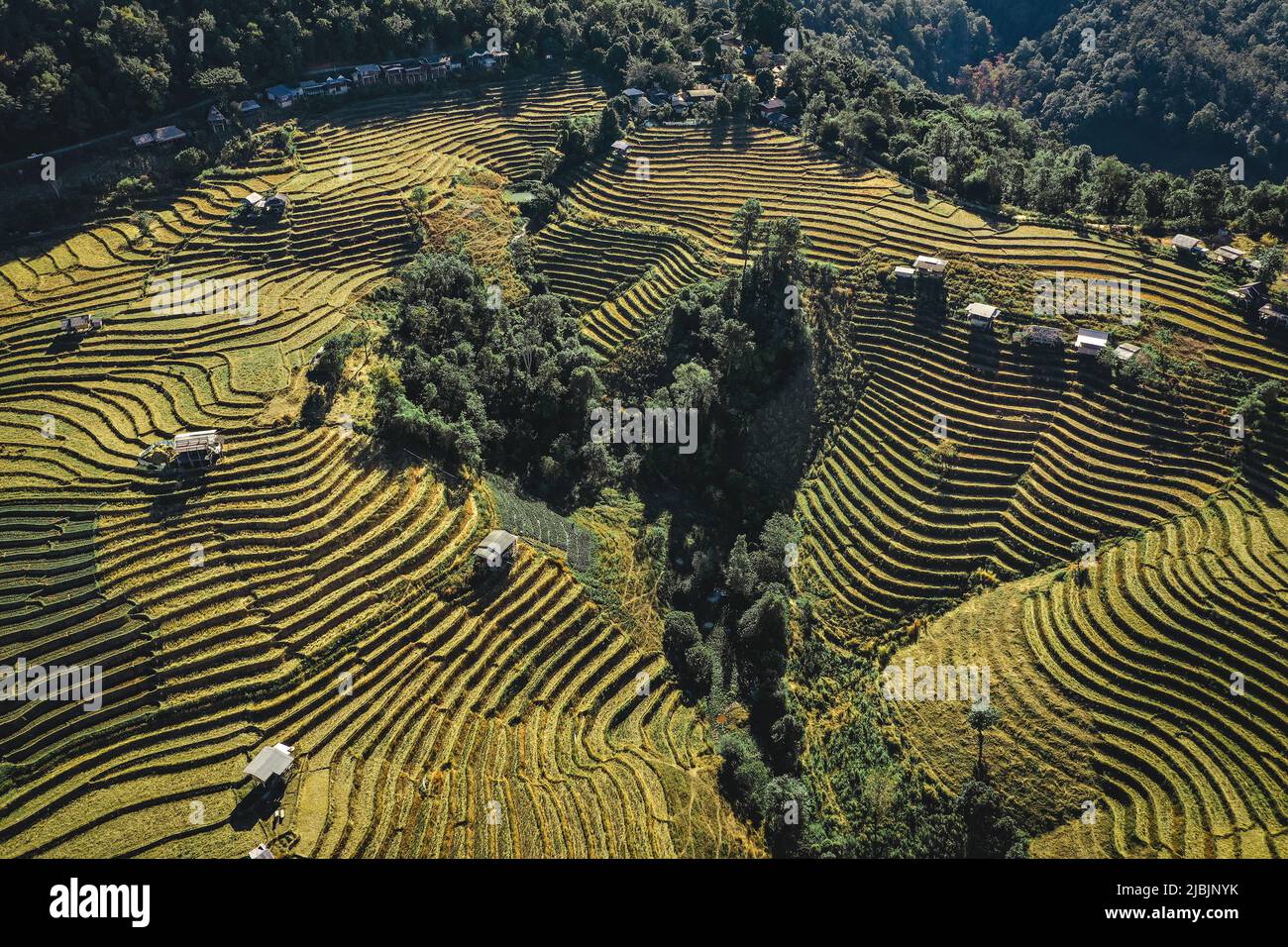 Ban Pa Pong Piang Rice terraces or Baan Pa Pong Pieng in Doi Inthanon ...