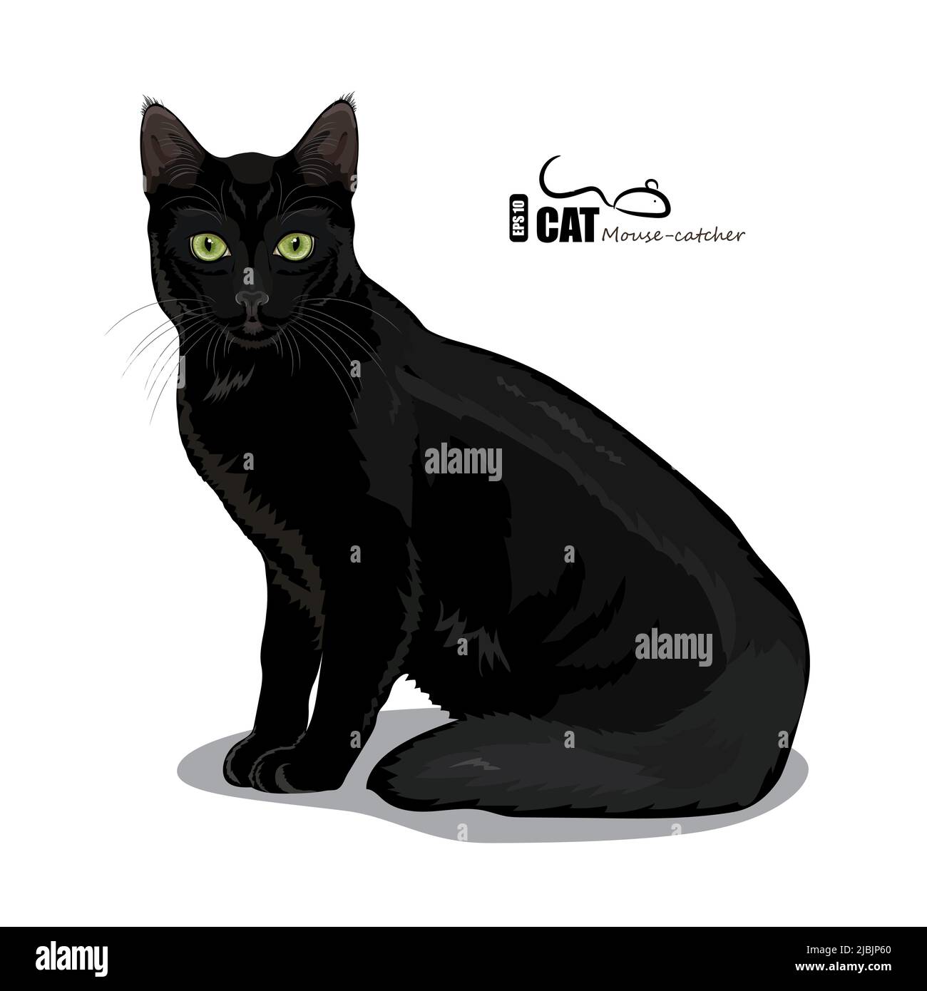 Portrait black cat white Stock Vector Images - Alamy