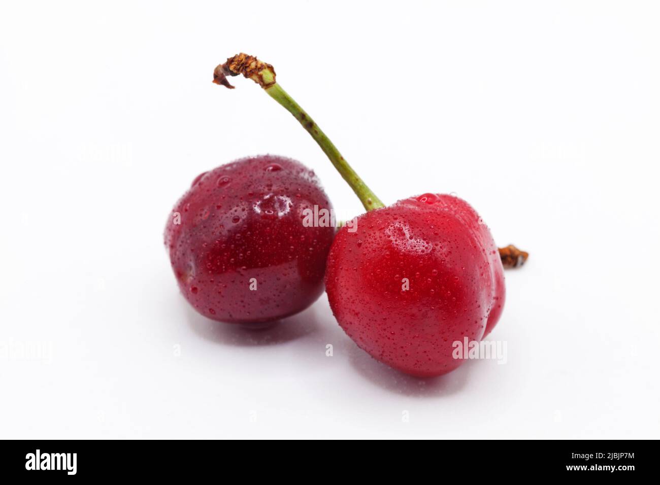 two cherries on white background Stock Photo - Alamy