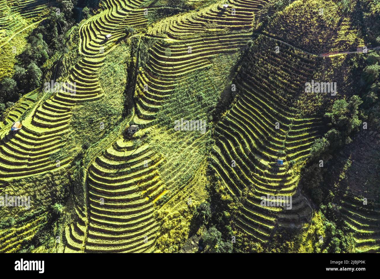 Ban Pa Pong Piang Rice terraces or Baan Pa Pong Pieng in Doi Inthanon ...