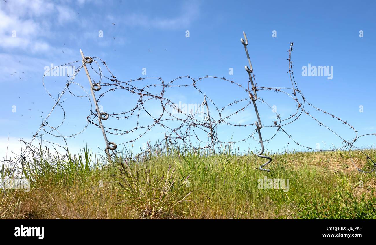 Barbed wire at an old bunker from WW2, used by the dutch and the ...
