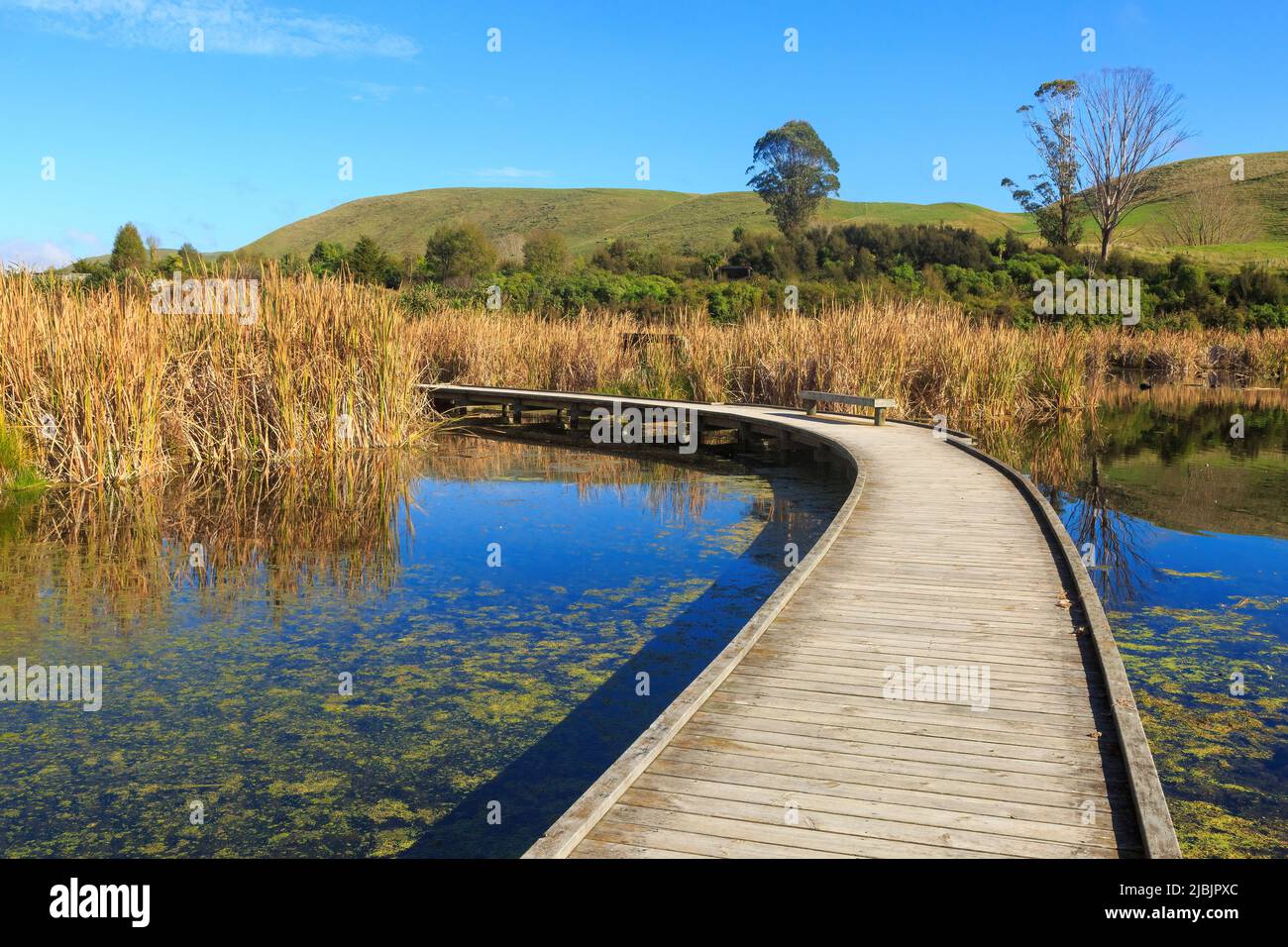 Pekapeka Regional Park at Zara Baillieu blog