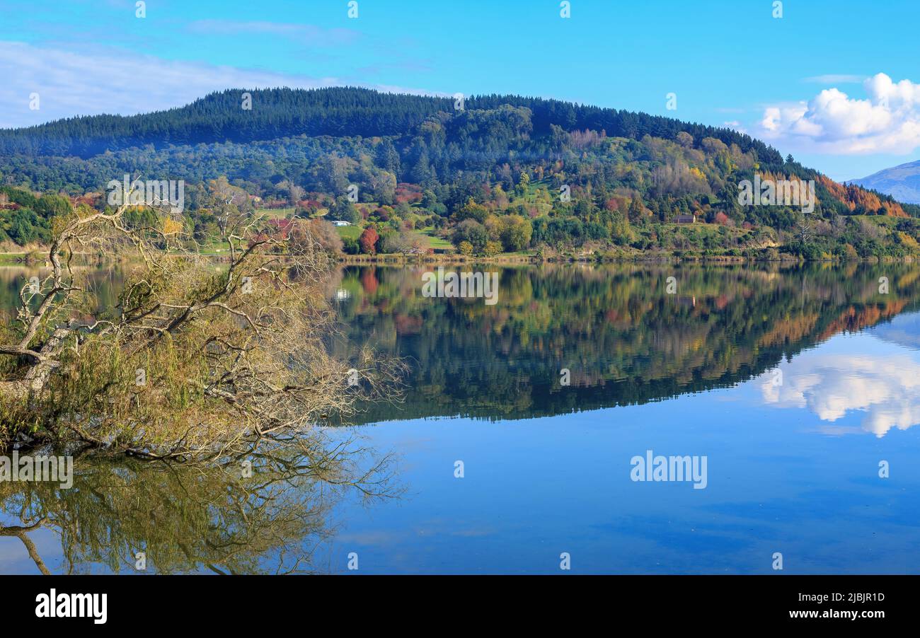 Lake Tutira in the Hawke's Bay region, New Zealand. A willow tree and a ...