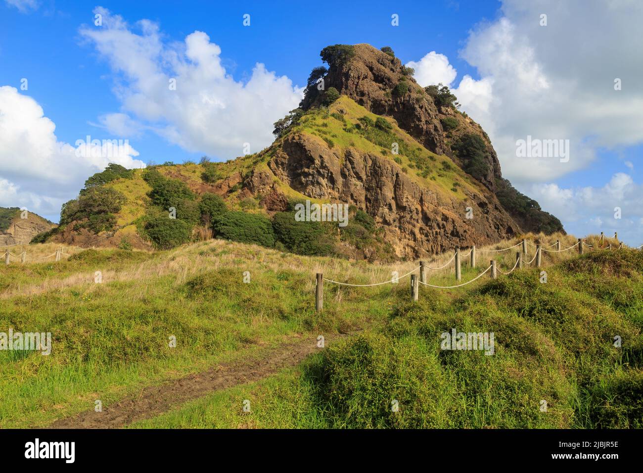 A walking track leading to Lion Rock (Te Piha), a natural landmark at ...