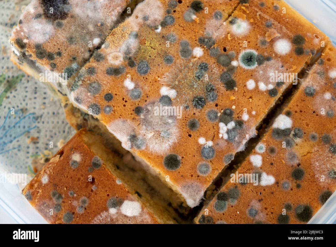 moldy cake covered in mold, Majorca, Balearic Islands, Spain Stock ...