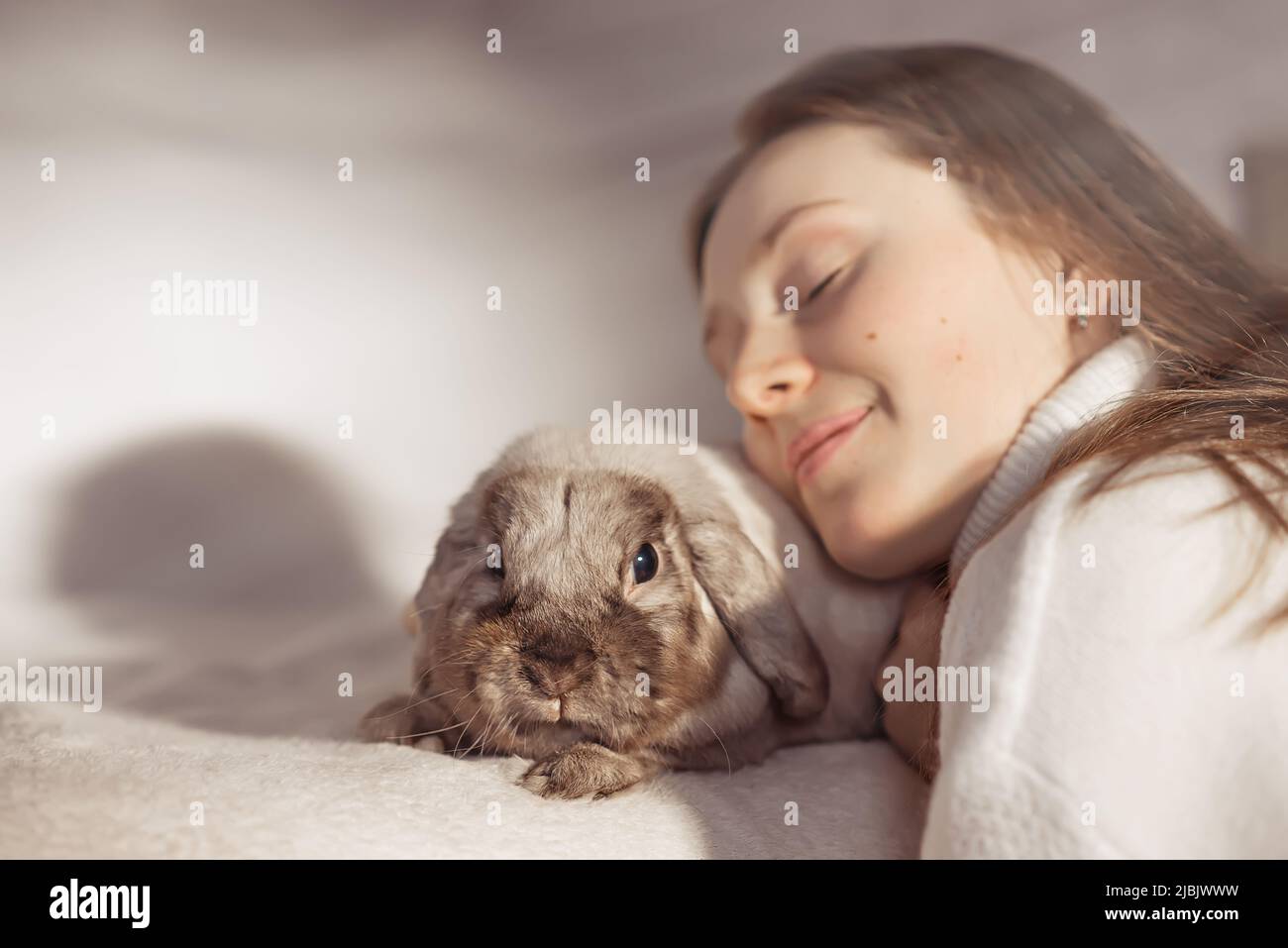Girl hugs a cute white rabbit at home.a girl with a rabbit, bunny pet ...