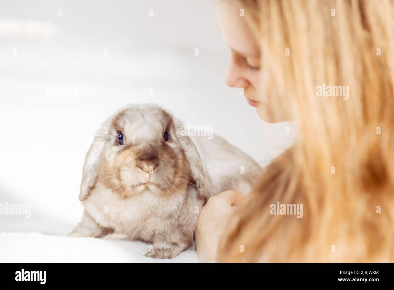 Girl hugs a cute white rabbit at home.a girl with a rabbit, bunny pet ...