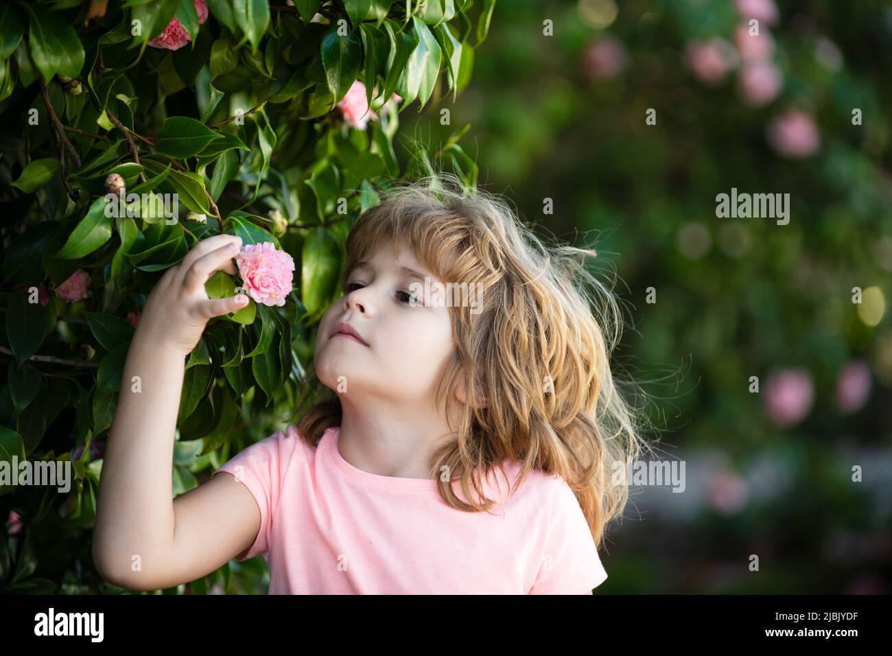 Children picking flowers in garden hi-res stock photography and images ...
