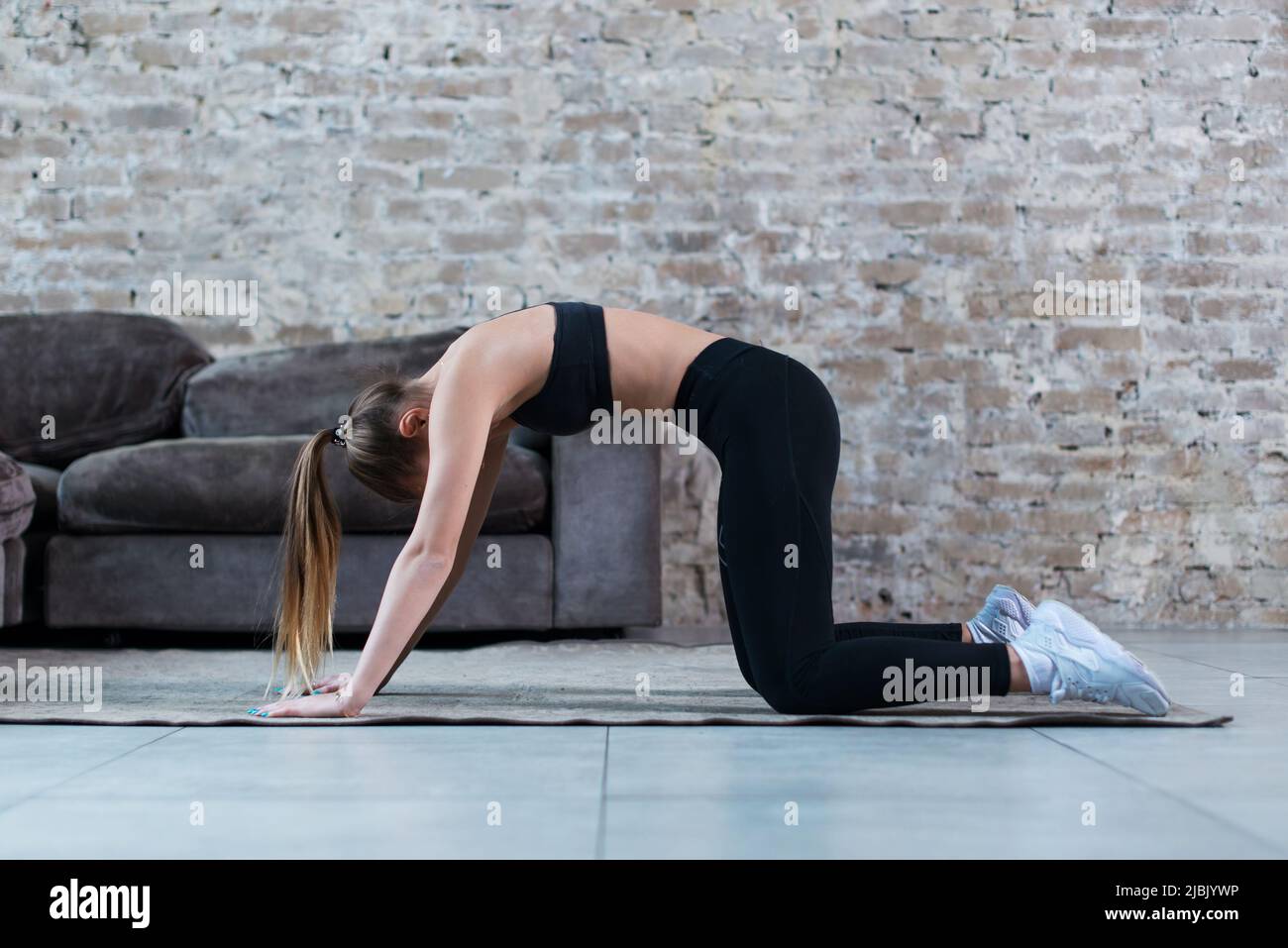 Fit young Caucasian woman practicing yoga at home standing in cat and ...