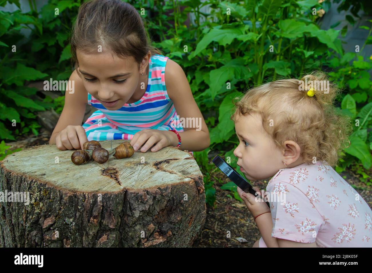 The child examines the snails on the tree. Selective focus Stock Photo ...