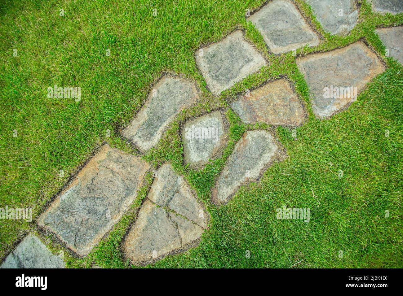 Background texture, path on the lawn lined with round stones on the ...