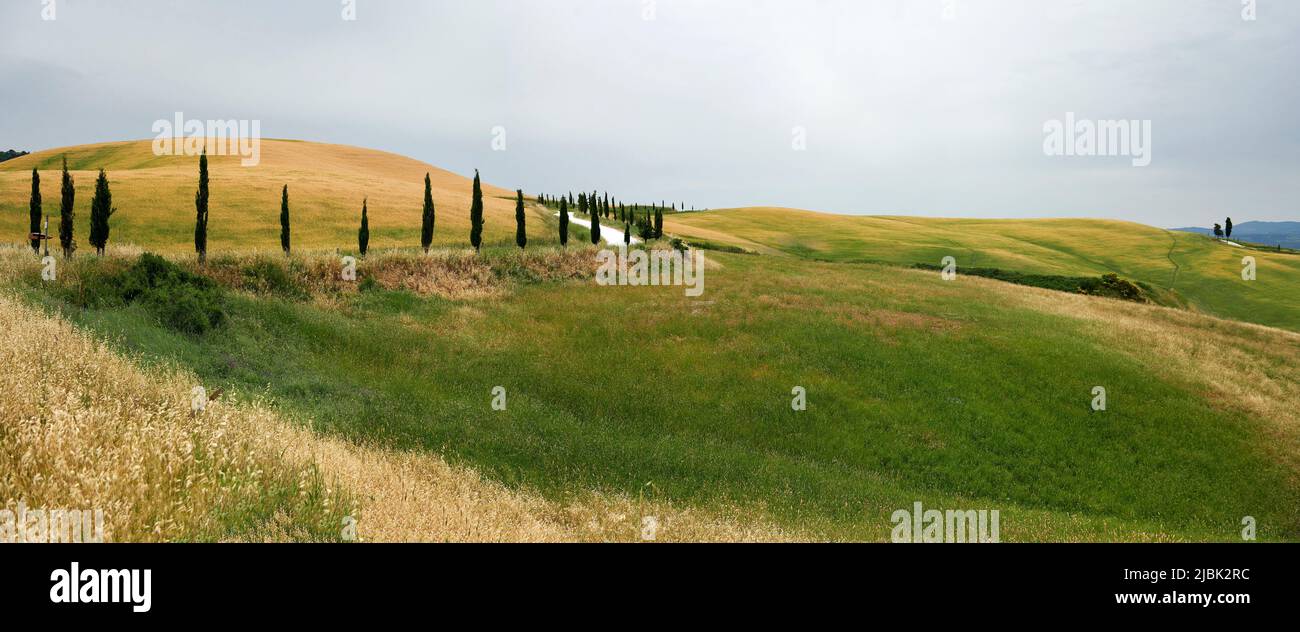 Volterra (Pi), Italy, a landscape on the hills with cypresses Stock ...