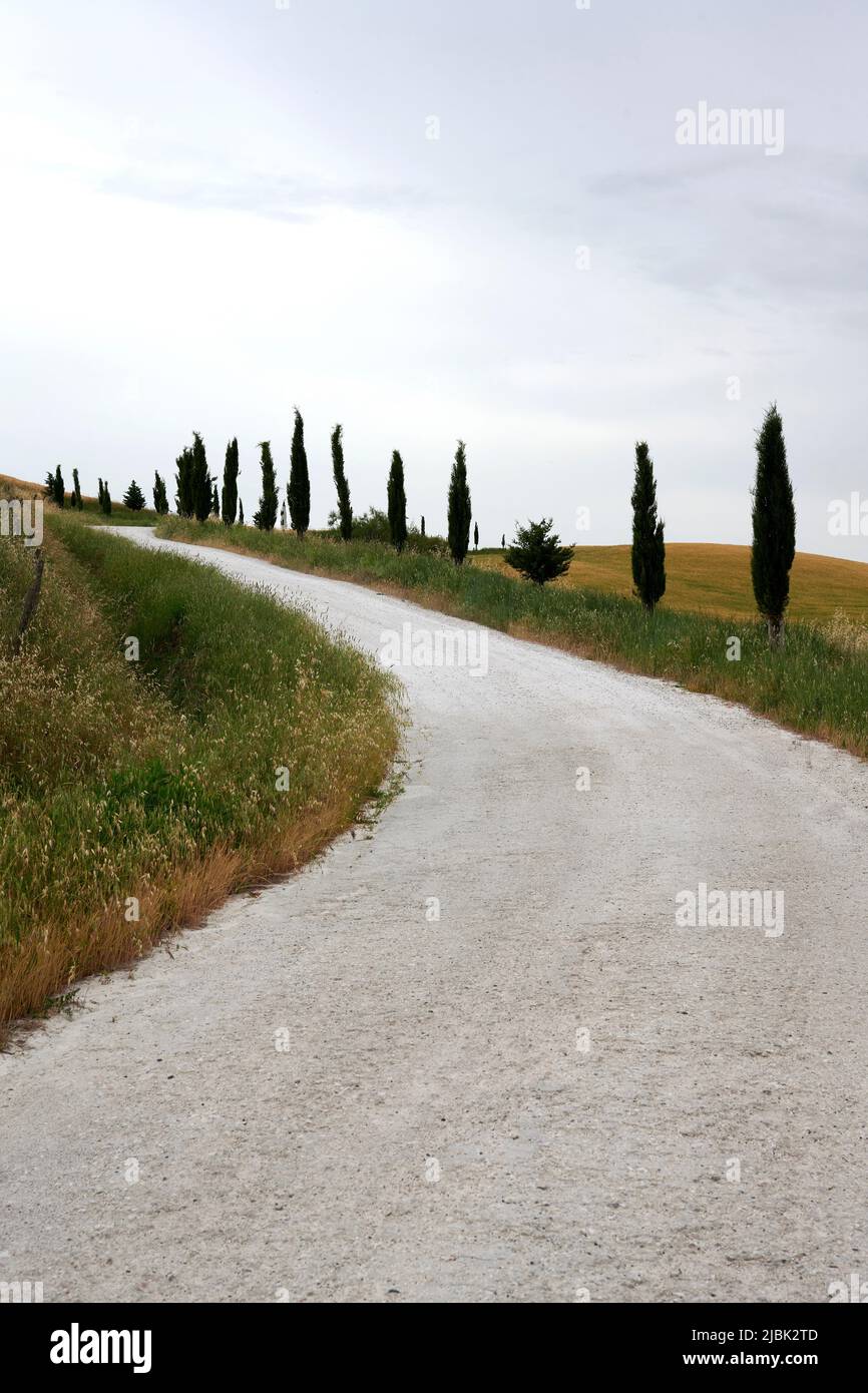 Volterra (Pi), Italy, a landscape on the hills with cypresses Stock ...