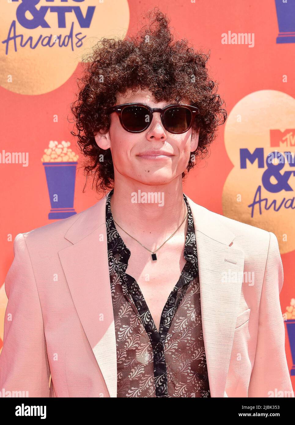 Reece Feldman attends the 2022 MTV Movie and TV Awards at Barker Hangar ...
