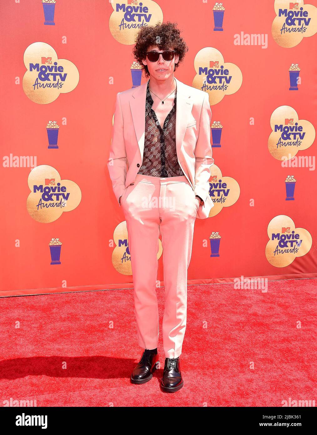 Reece Feldman attends the 2022 MTV Movie and TV Awards at Barker Hangar ...