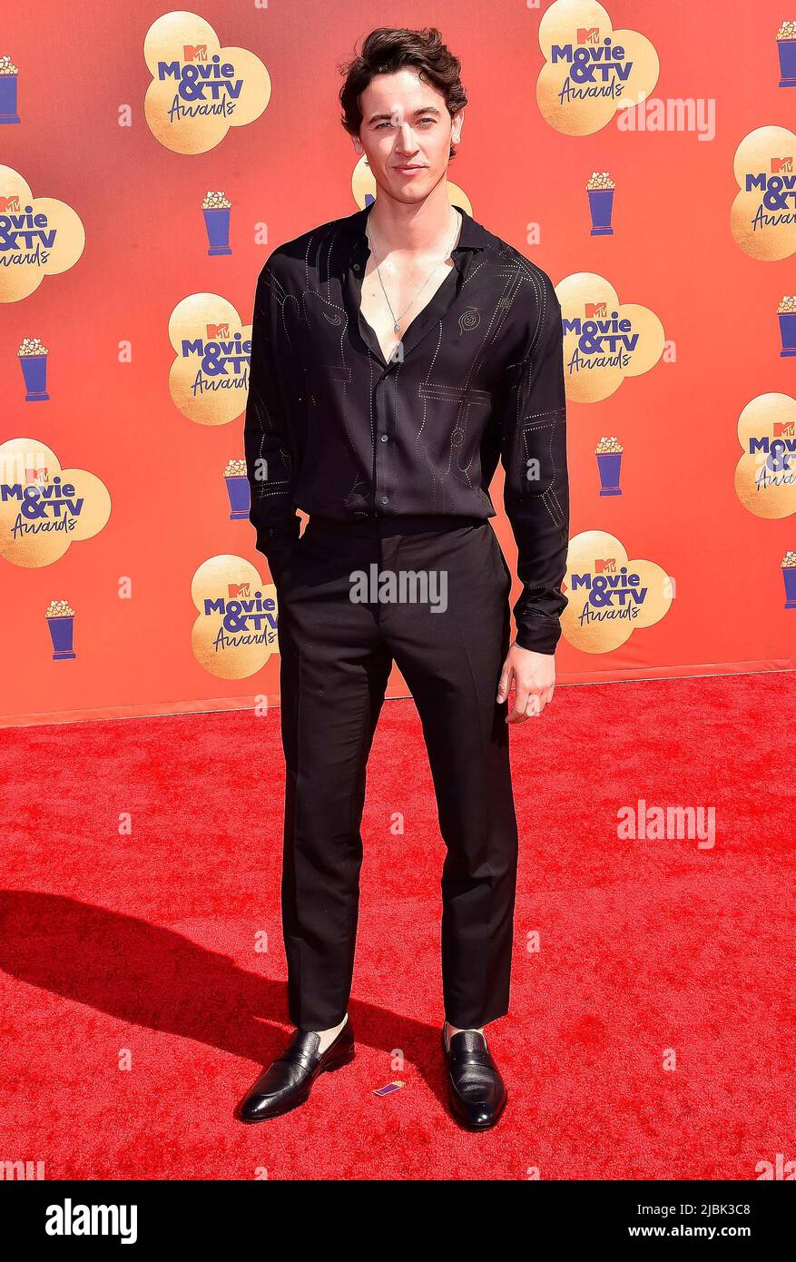 Tom Blyth attends the 2022 MTV Movie and TV Awards at Barker Hangar in ...