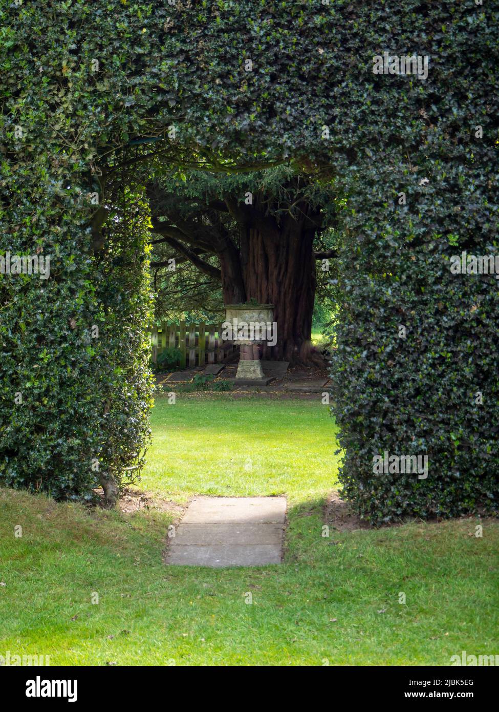 Gawsworth Hall font framed in the open hedge doorway Stock Photo - Alamy