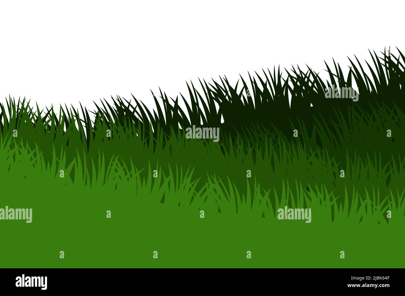 Grass. Nature rural landscape. Pasture overgrown. Overgrown dense lawn ...