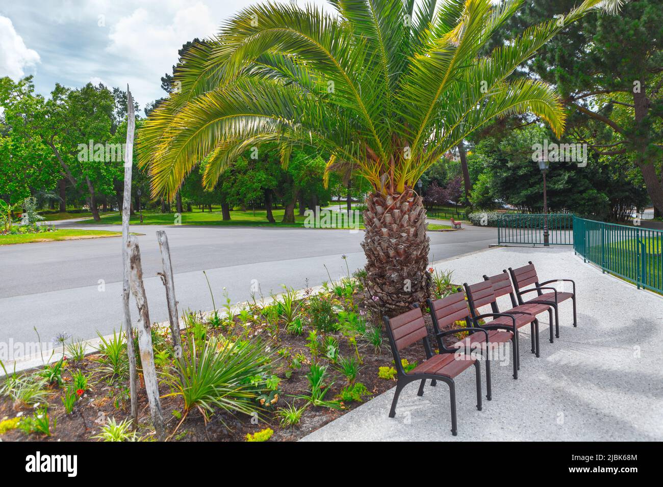 Benches in tropical park . Sidewalk and palm tree in the park Stock ...