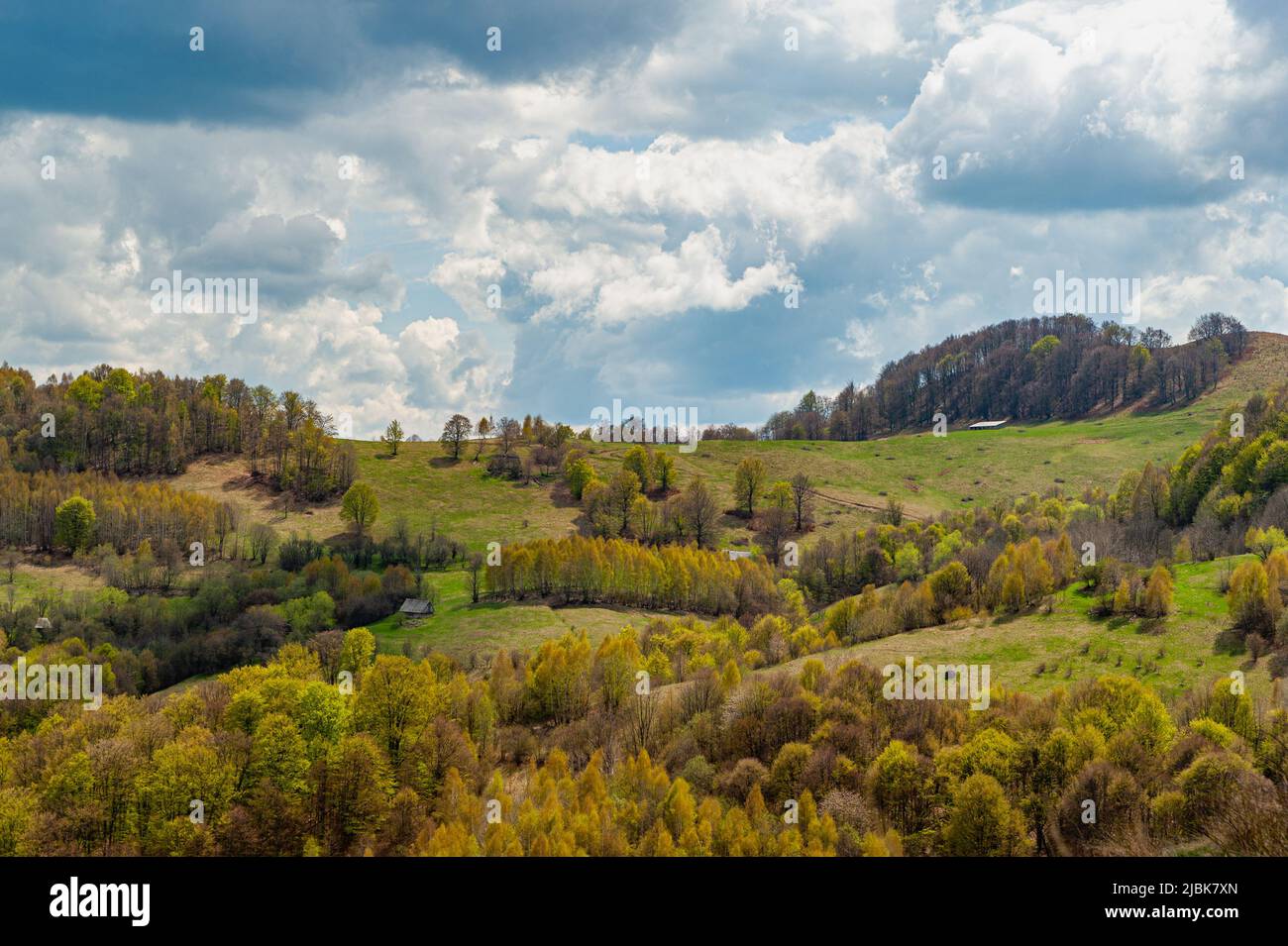 green transilvanian spring landscape Stock Photo - Alamy