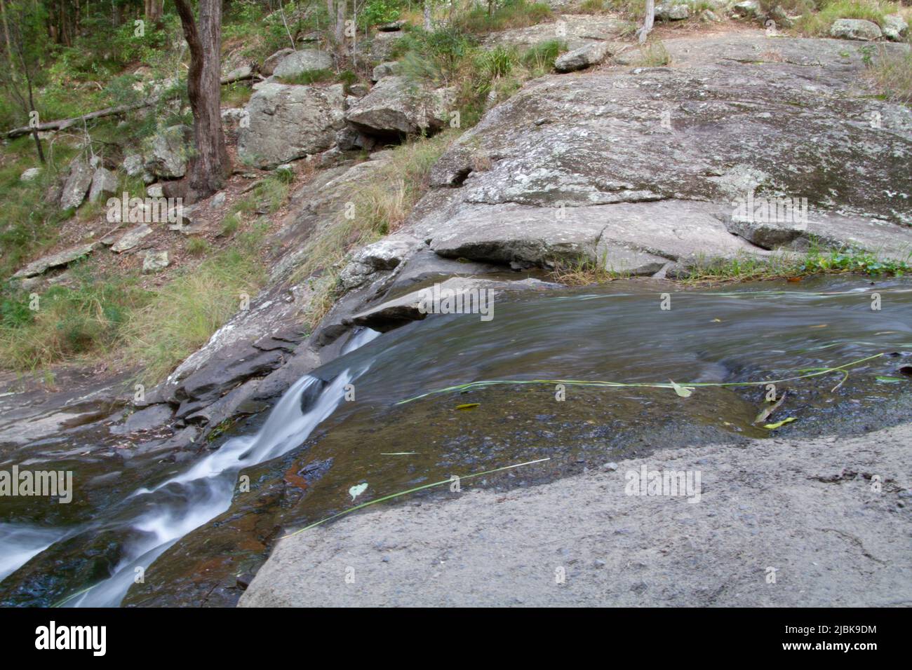Bush among rocks hi-res stock photography and images - Alamy