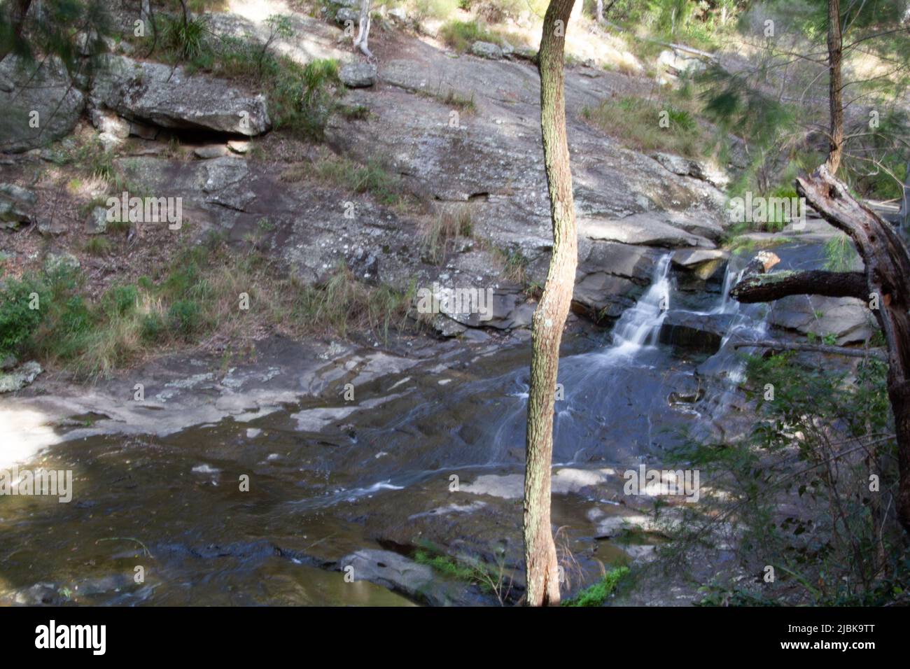 Bush among rocks hi-res stock photography and images - Alamy