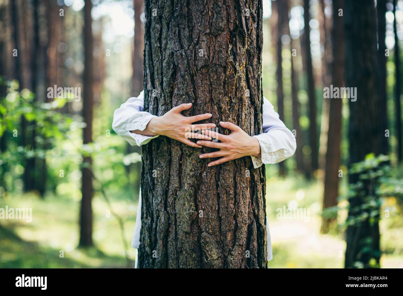 Woman hugged a tree with love in the forest Stock Photo - Alamy