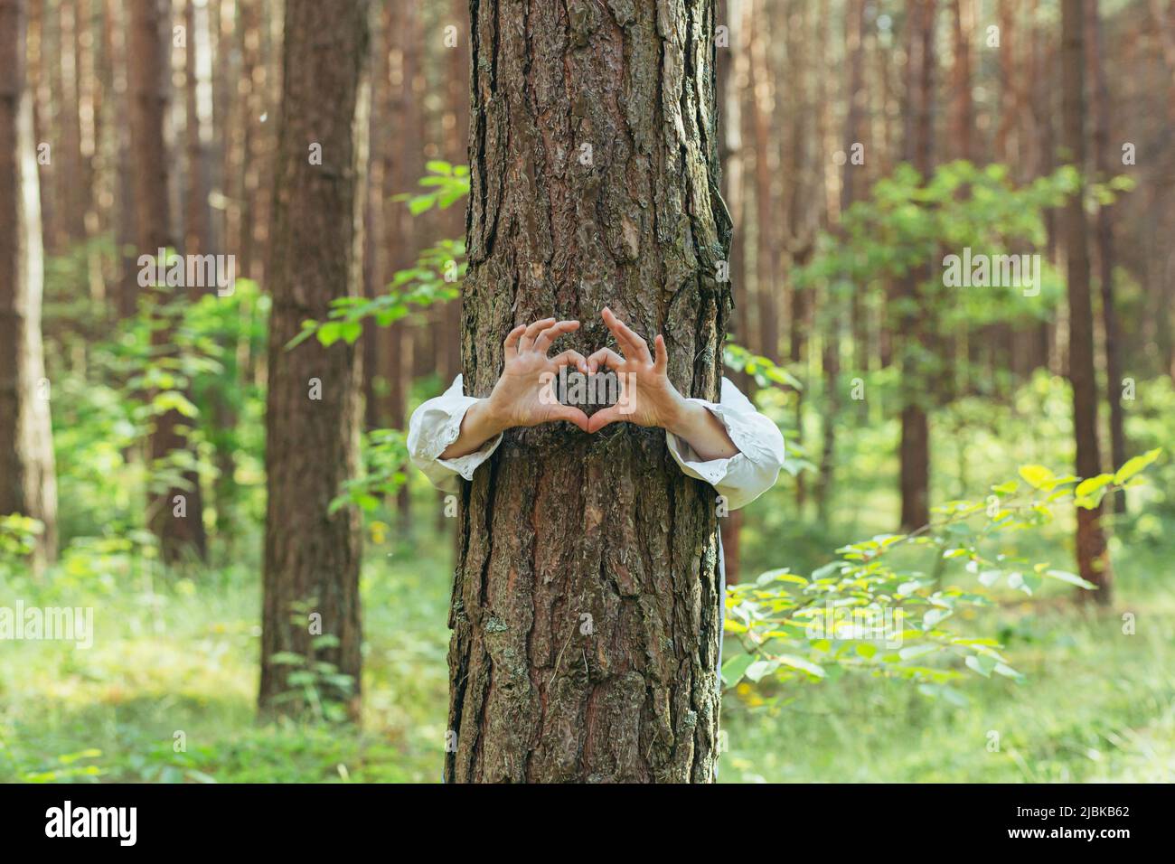 hands of a young woman hug a tree in the forest and show a sign of ...