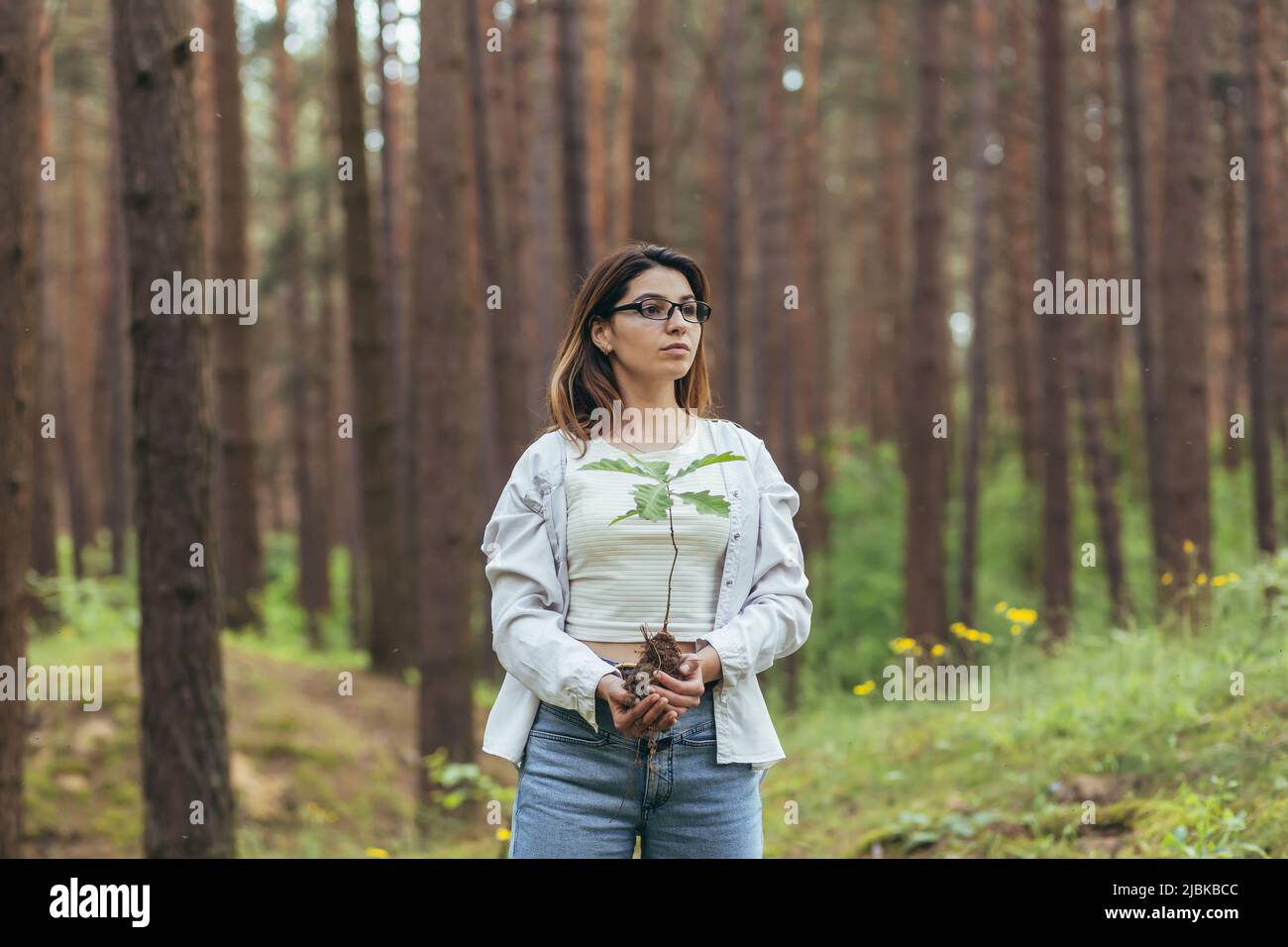 Young female volunteer plants a forest, holding an oak tree seedling in ...