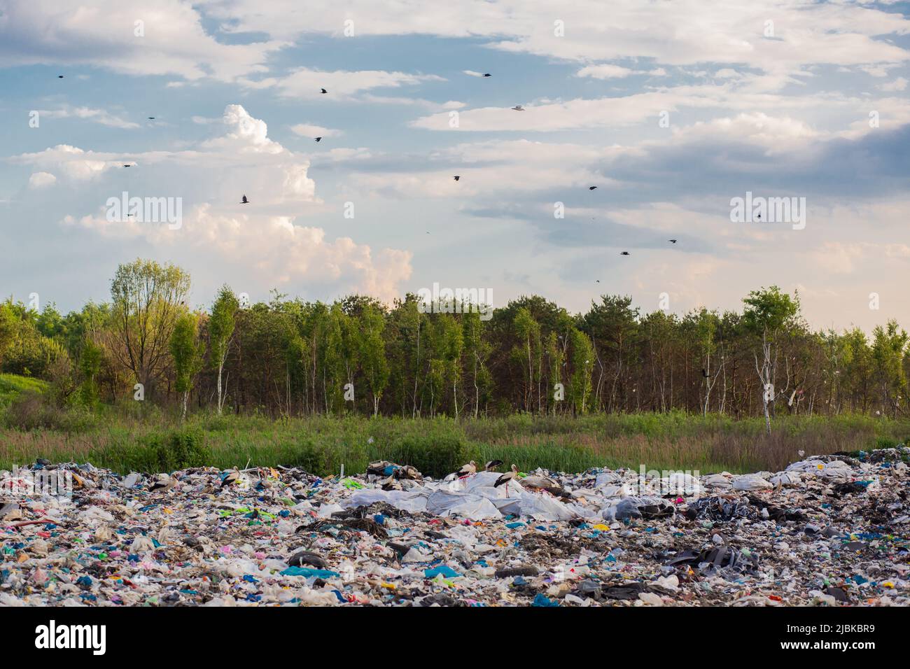 Large garbage dump against the backdrop of the forest, the landfill ...