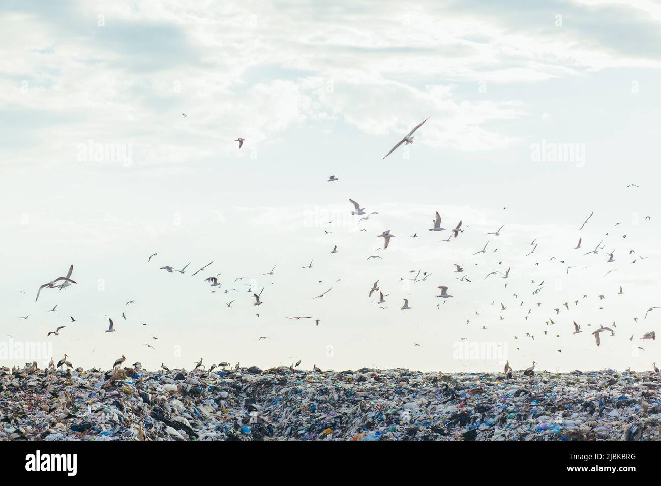 Domestic garbage hi-res stock photography and images - Alamy