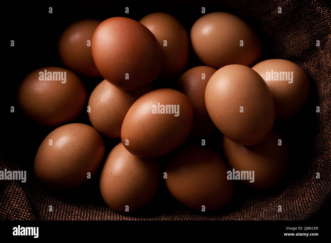 Red hen hi-res stock photography and images - Alamy