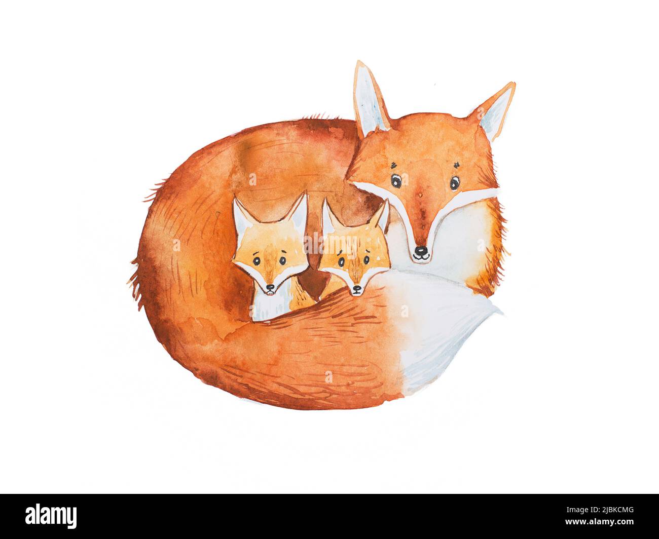 Care of fox Cut Out Stock Images & Pictures - Alamy