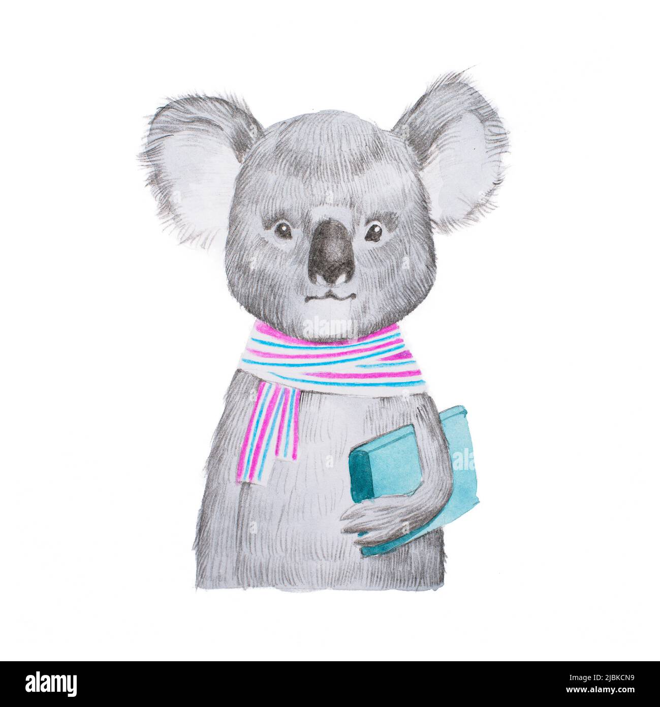 Portrait of cartoon smart koala wearing scarf and holding a book Stock ...