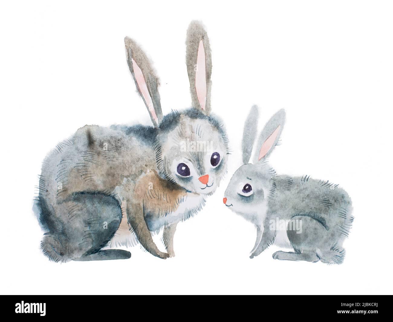 Mother rabbit and baby hand-drawn with aquarelle technique Stock Photo ...